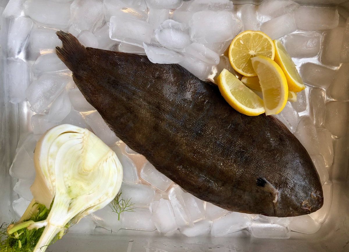 Dover Sole – Fish Galore